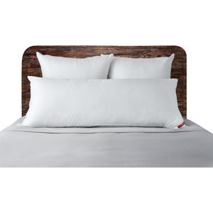 AllerEase Allergy Protection Polyfill Body Medium Support Pillow & Reviews | Wayfair